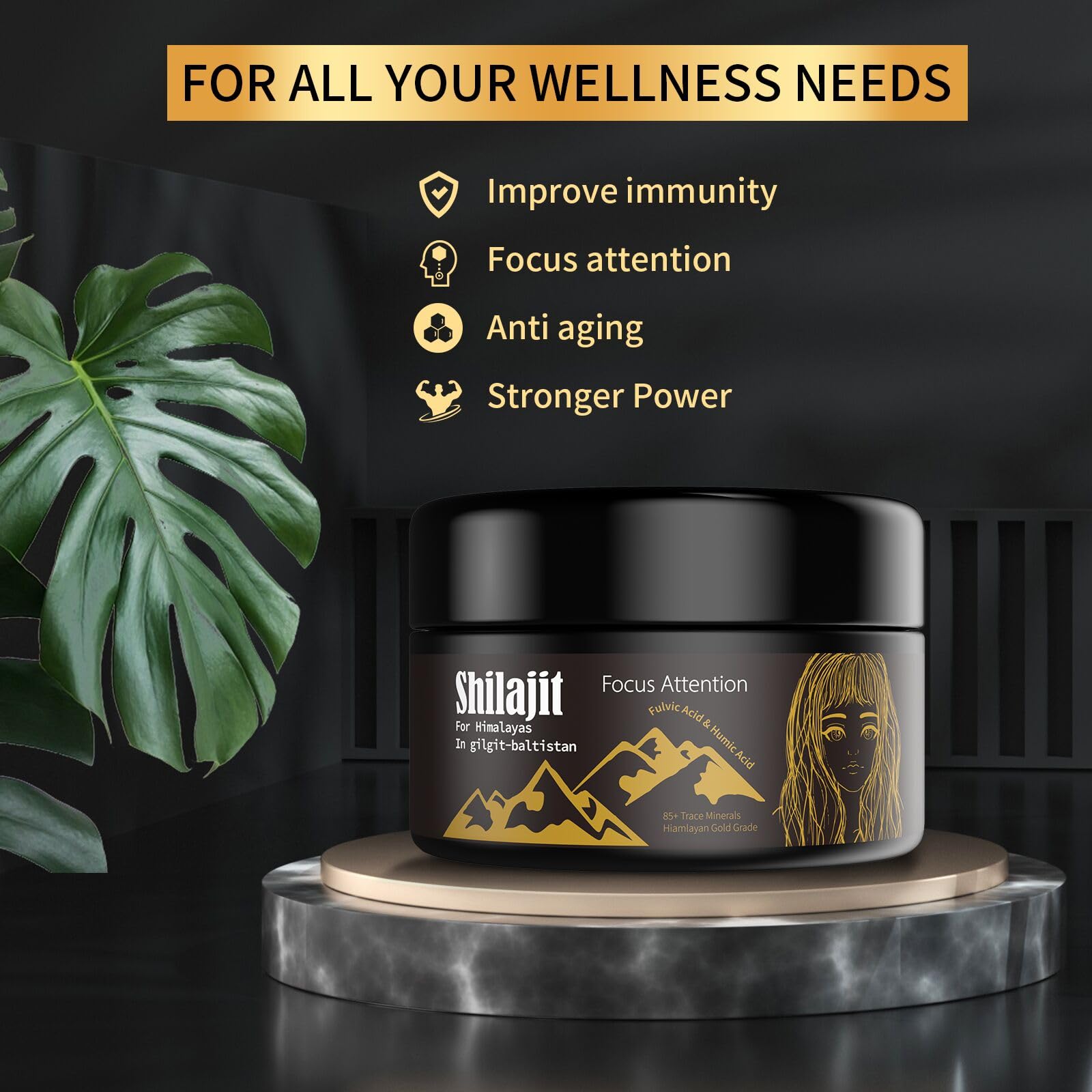 fulvic acid benefits in shilajit