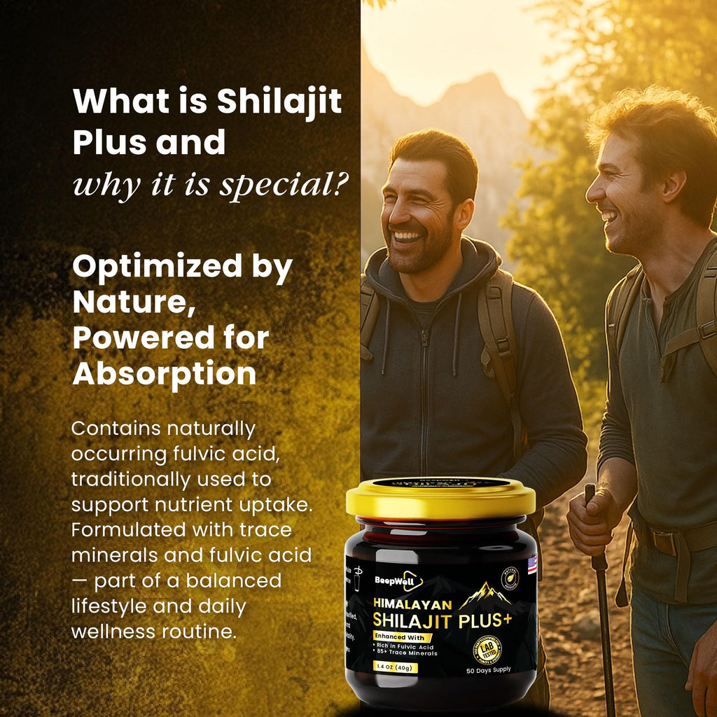 Fulvic acid rich shilajit supplement