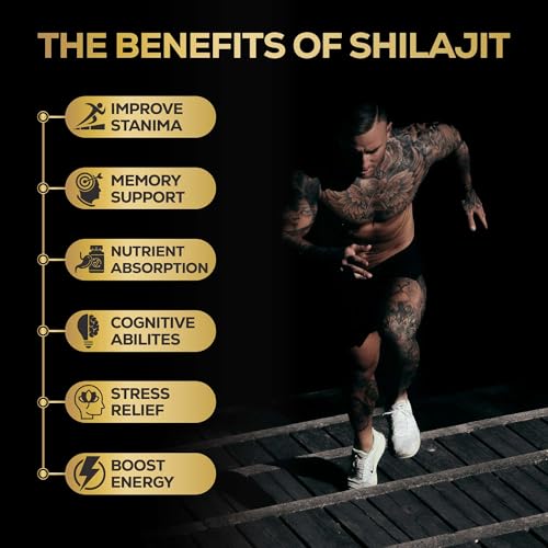 fulvic acid rich shilajit supplement