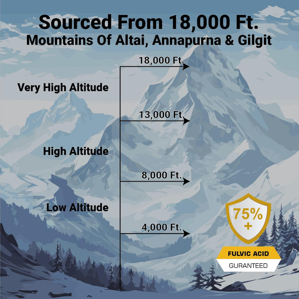 fulvic acid shilajit benefits