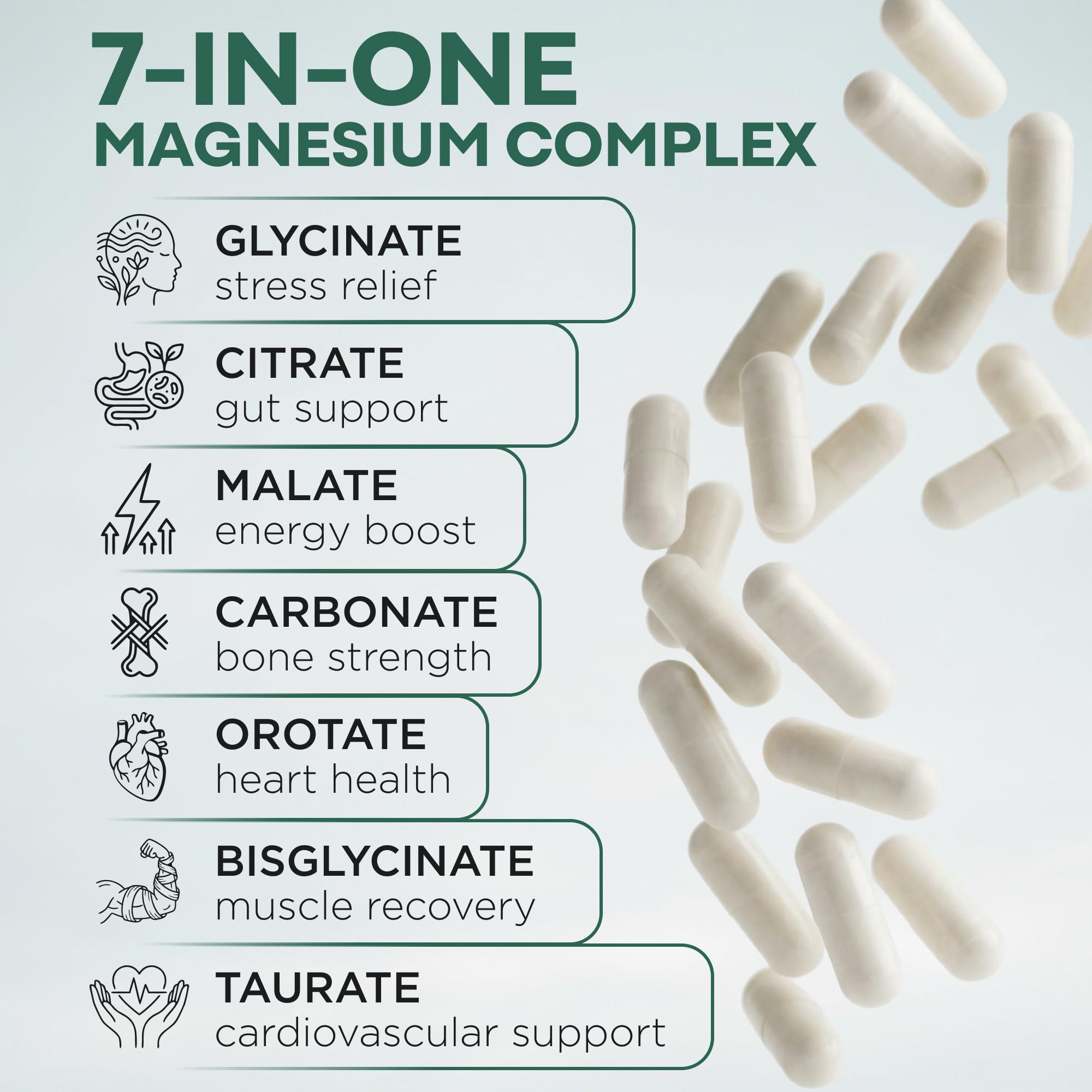 fulvic minerals enhance magnesium absorption