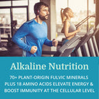 fulvic trace minerals for hydration