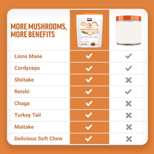 fun guy mushrooms for vitality
