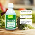 FUNAT chlorophyll liquid for energy