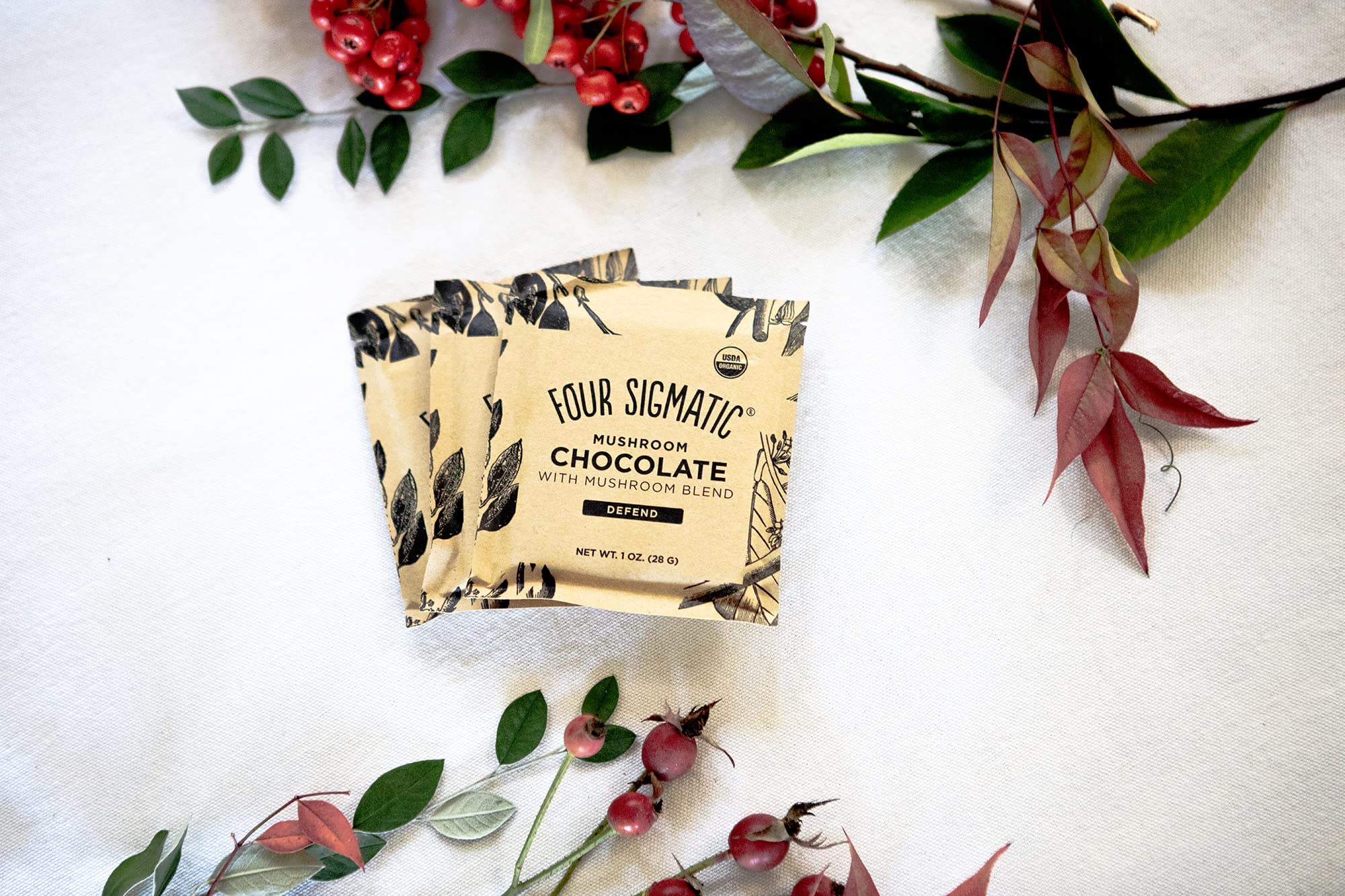 functional mushroom chocolate benefits