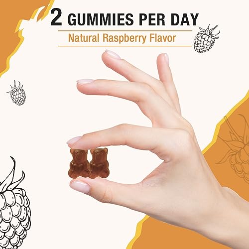 Functional mushroom gummies for overall health
