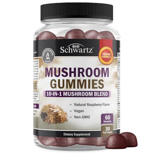 functional mushroom supplement for focus