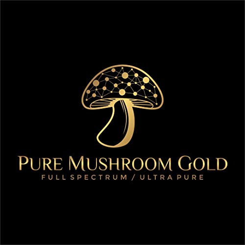 functional mushrooms for active lifestyle