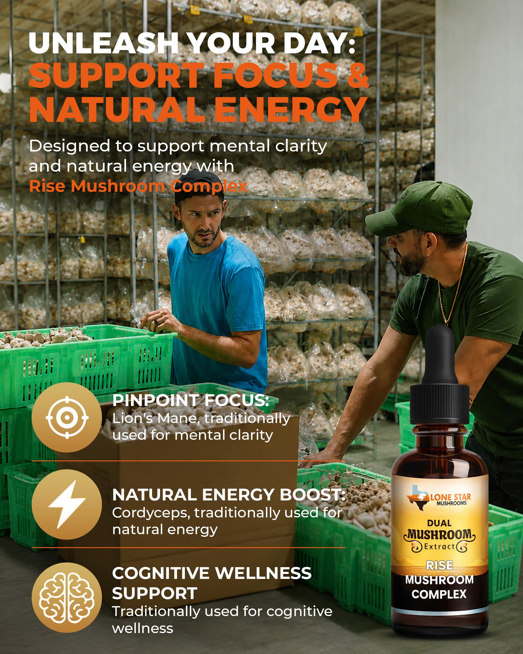 Functional mushrooms for better health