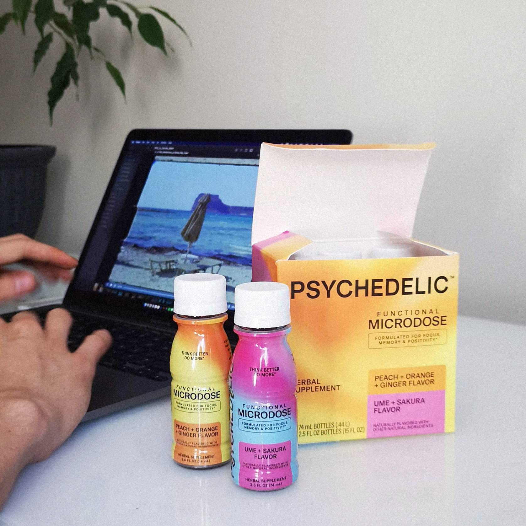 functional mushrooms for daily vitality