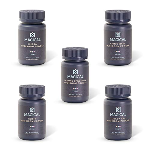 functional mushrooms for daily wellness