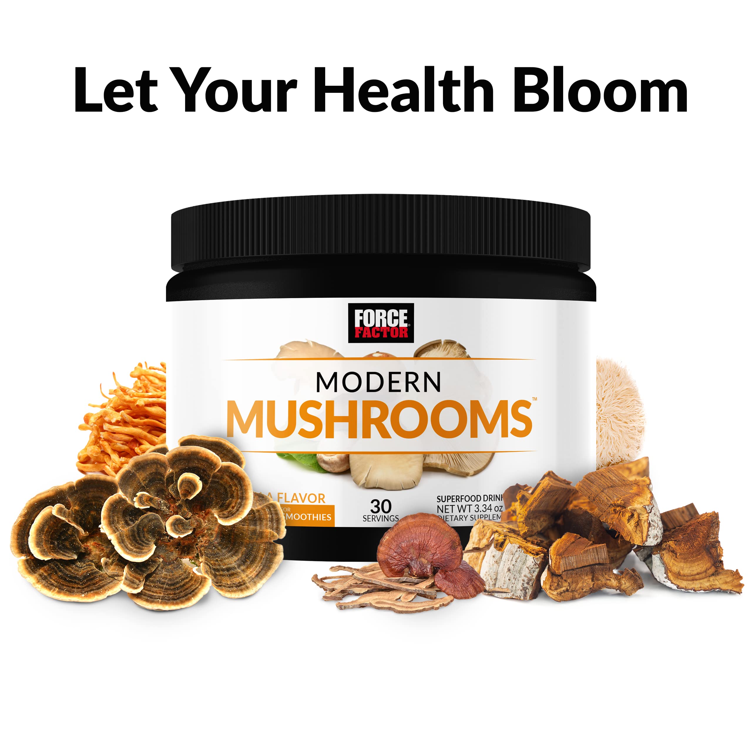 Functional mushrooms for everyday use
