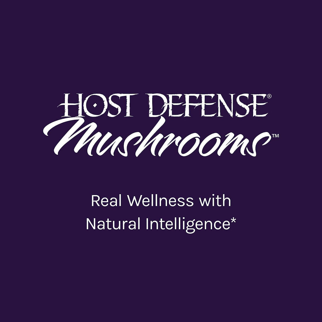 Functional mushrooms for everyday wellness