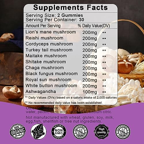 functional mushrooms for holistic health
