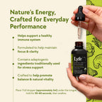 functional mushrooms for immune support