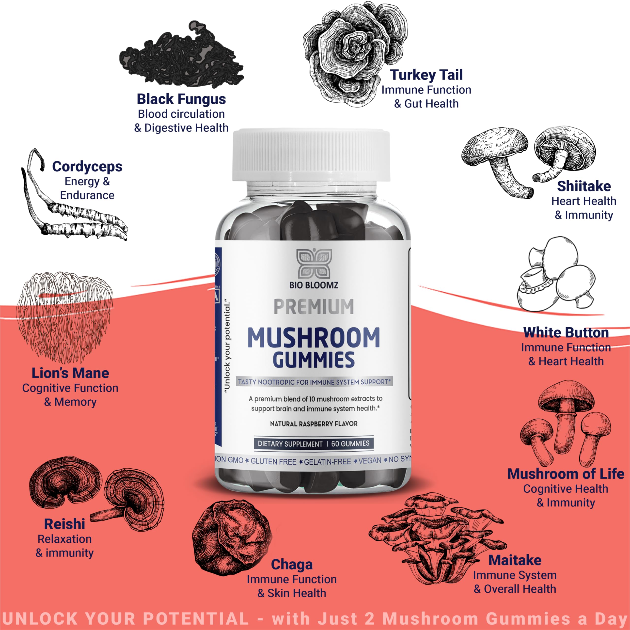functional mushrooms for improved focus