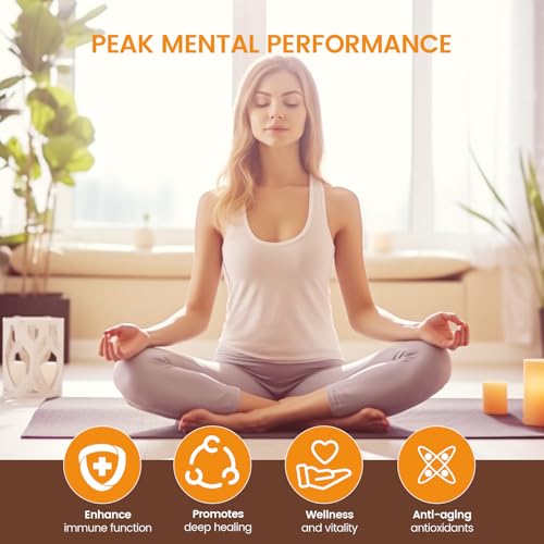 functional mushrooms for overall wellness
