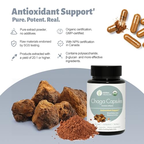 functional mushrooms for wellness