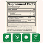 Fungies mushroom gummies for mental clarity