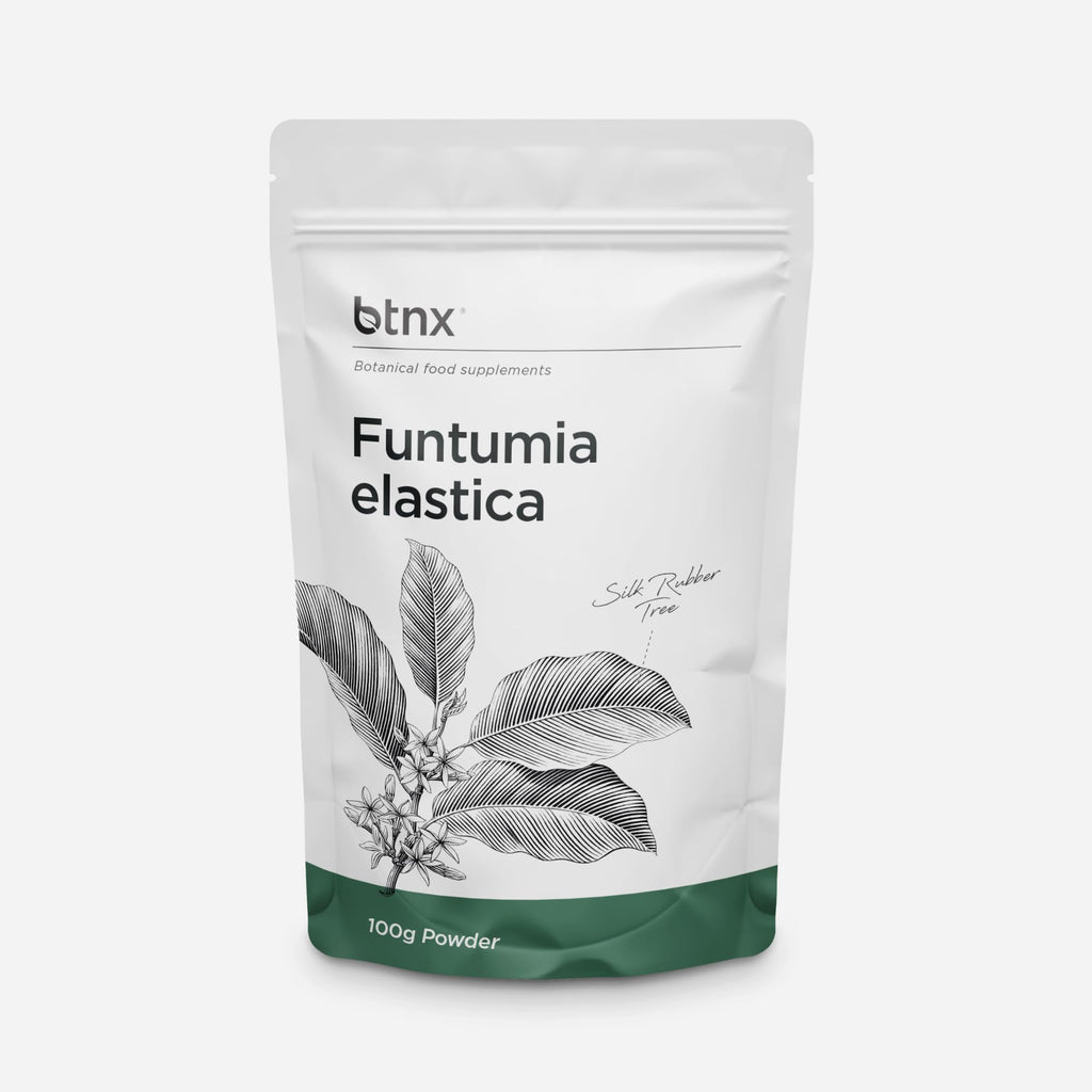 Funtumia Elastica Powder for lung health