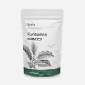 Funtumia Elastica Powder for lung health