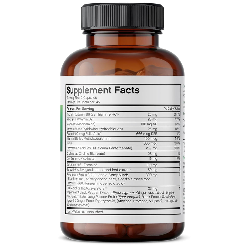 Futurebiotics vegetarian l-theanine supplement