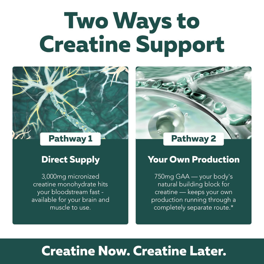 GAA infused creatine for energy