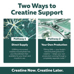 GAA infused creatine for energy
