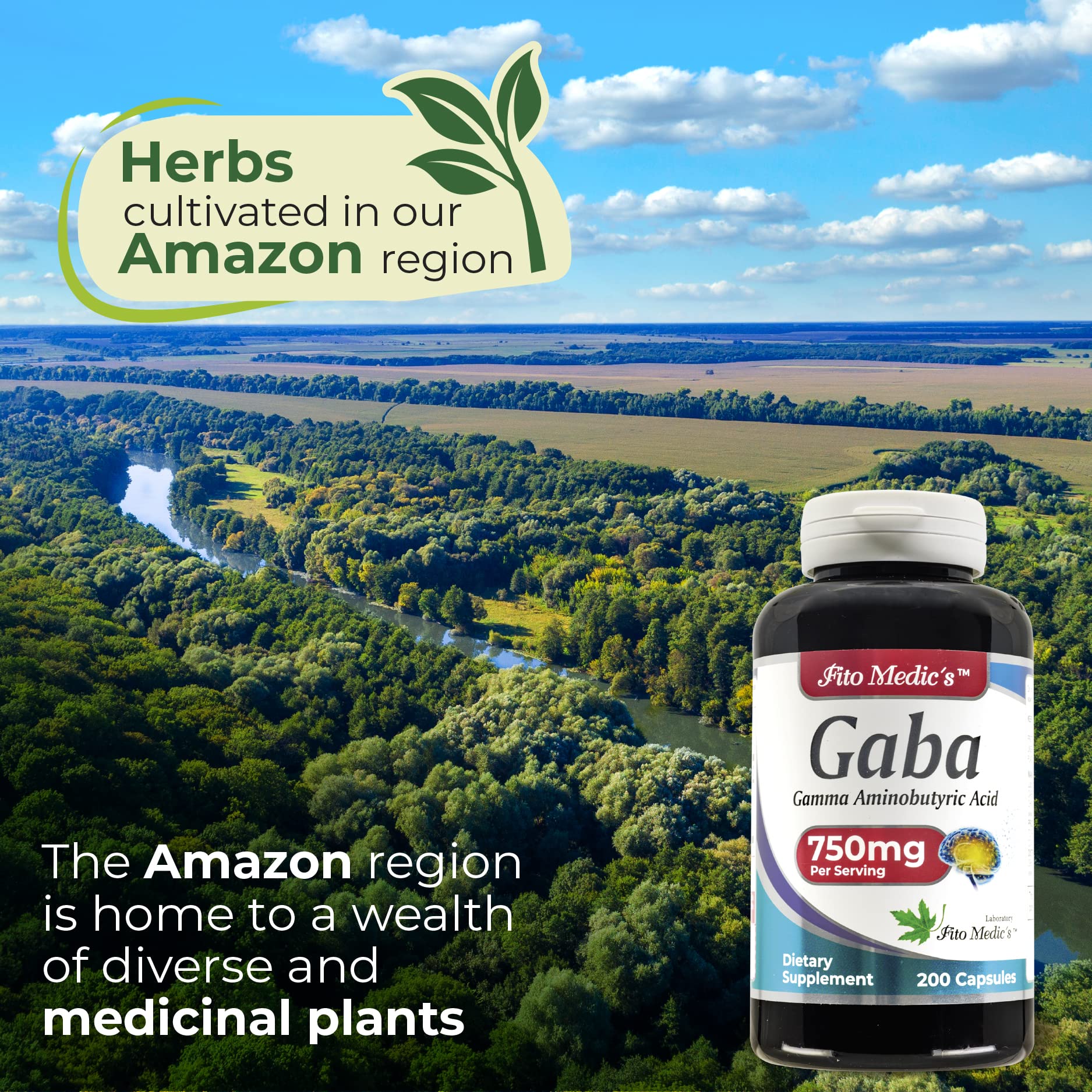 GABA capsules for mental clarity