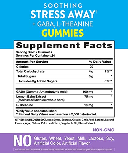 GABA & L-Theanine stress support supplements
