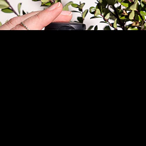 GABA Plus for calming effects