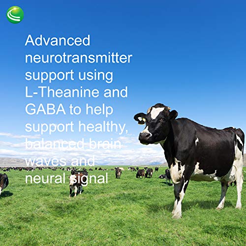 GABA powder for better sleep