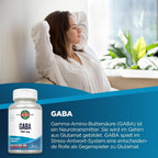 GABA supplement for stress relief