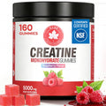GABE SUNNYBEARS creatine gummies raspberry