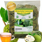 Gabio Green dried soursop leaves tea