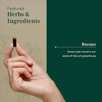 GAIA Herbs Bacopa for mental clarity
