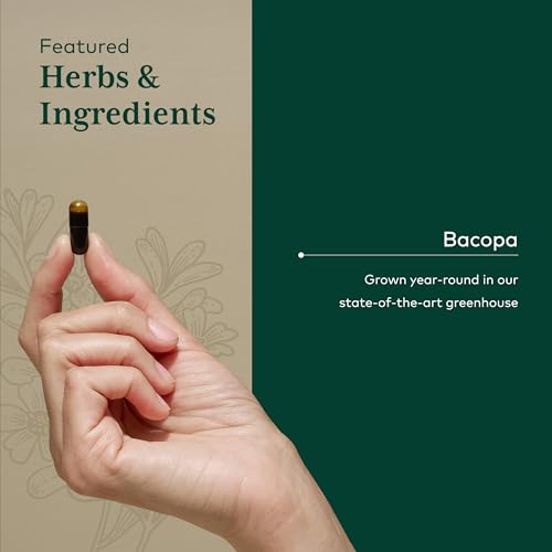 GAIA Herbs Bacopa for mental clarity