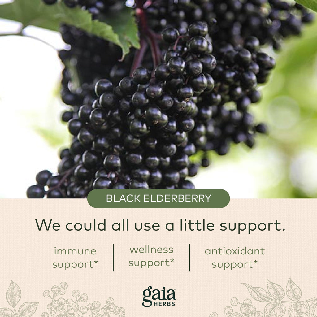 Gaia Herbs elderberry for cold relief