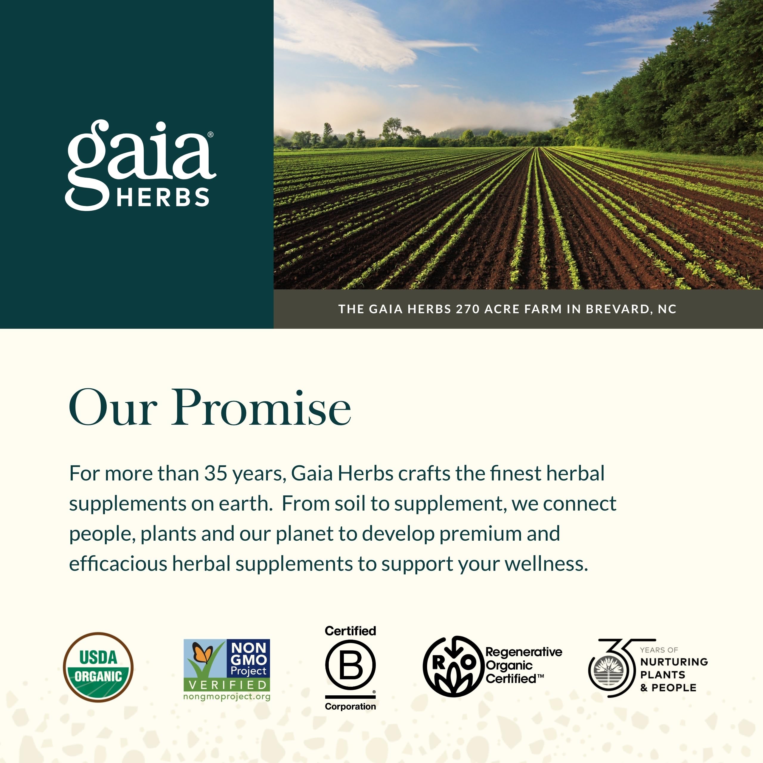 Gaia Herbs elderberry syrup review