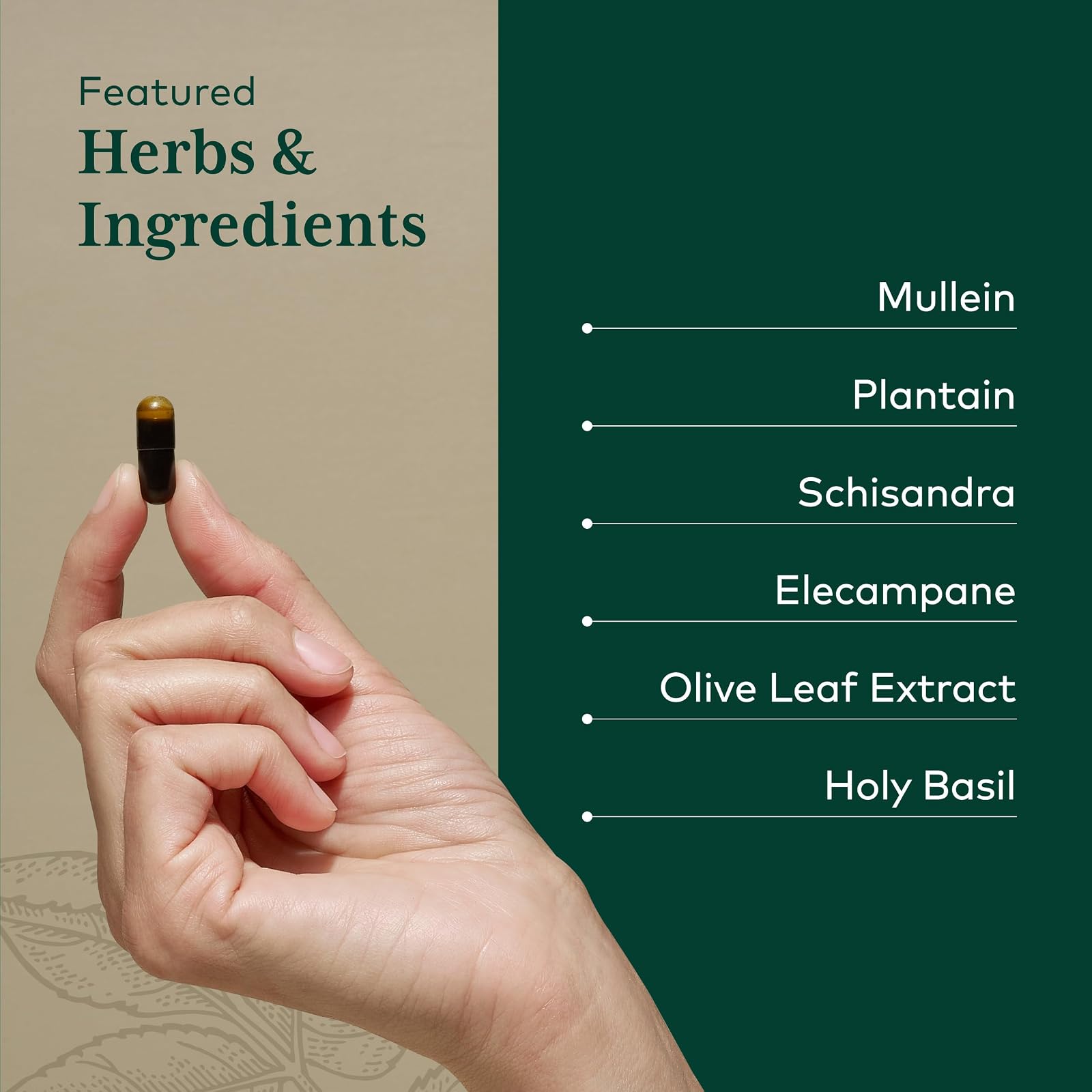 GAIA Herbs herbal capsules for wellness