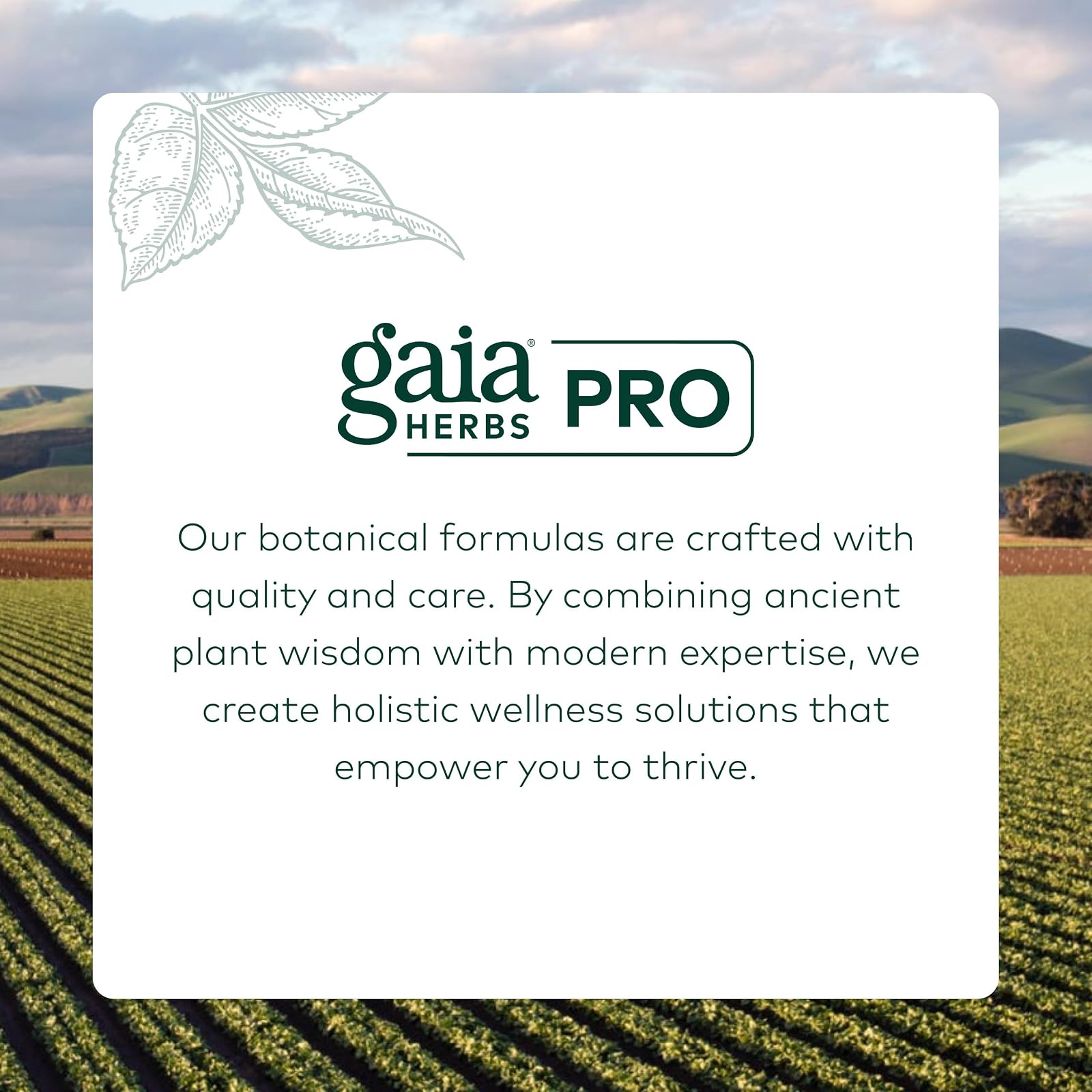 GAIA Herbs herbal energy formula