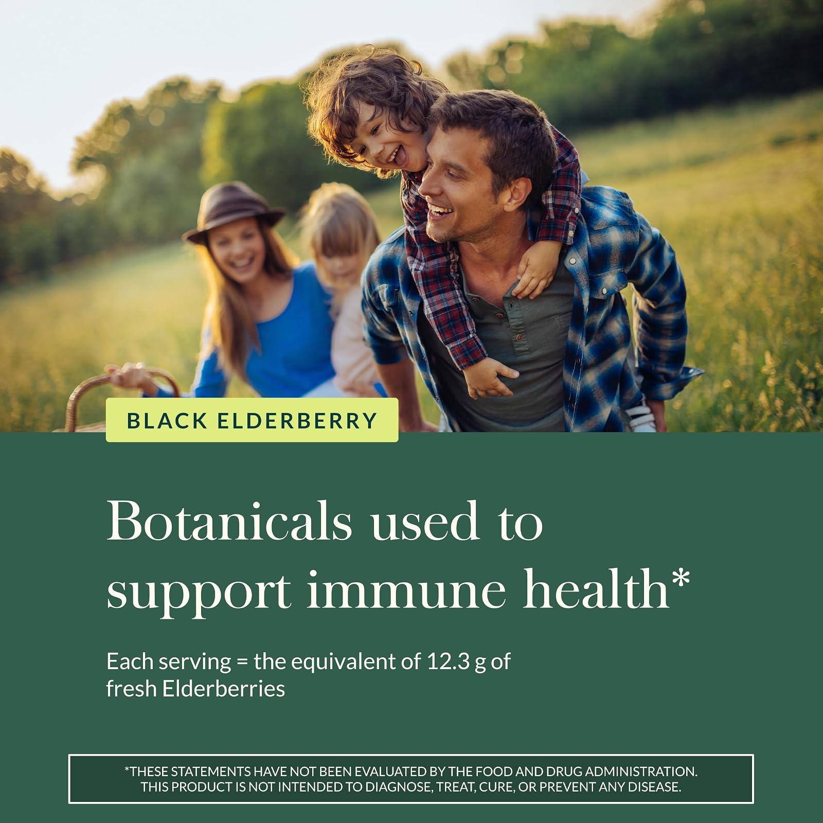 Gaia Herbs herbal immune booster
