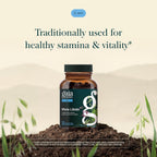 Gaia Herbs herbal vitality support