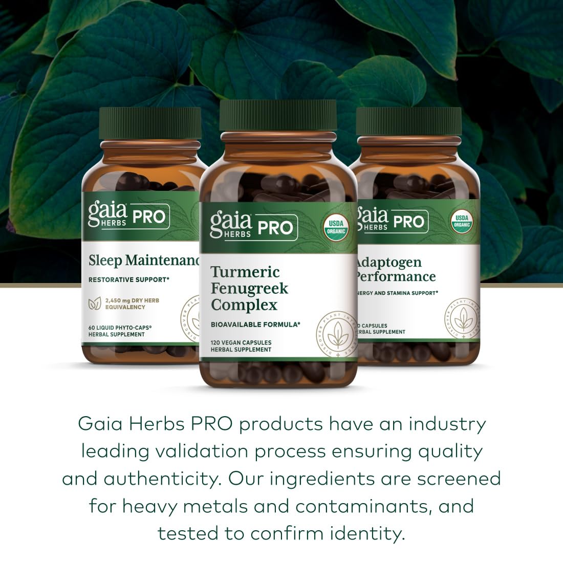 GAIA Herbs herbal wellness capsules