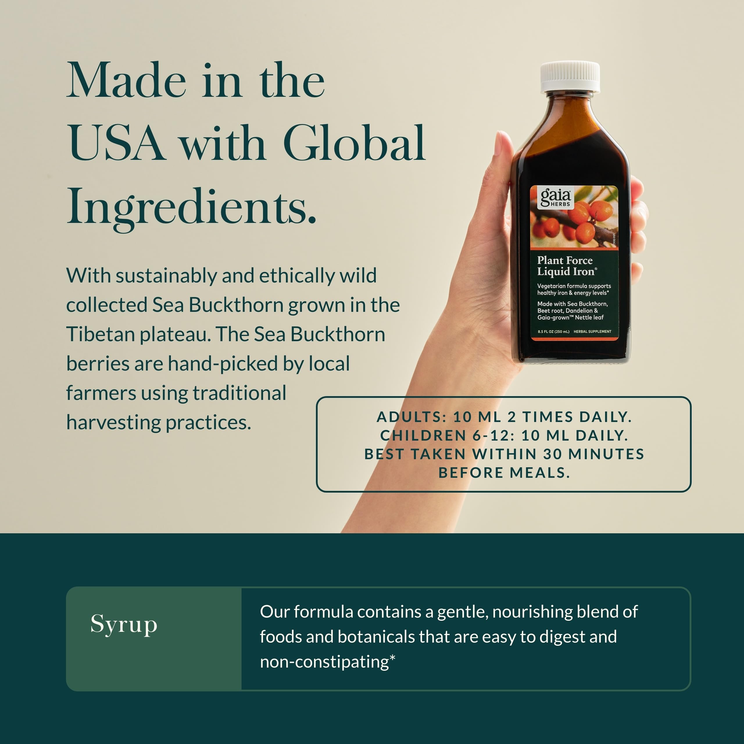 Gaia Herbs iron for daily wellness