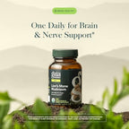 Gaia Herbs lion's mane supplement