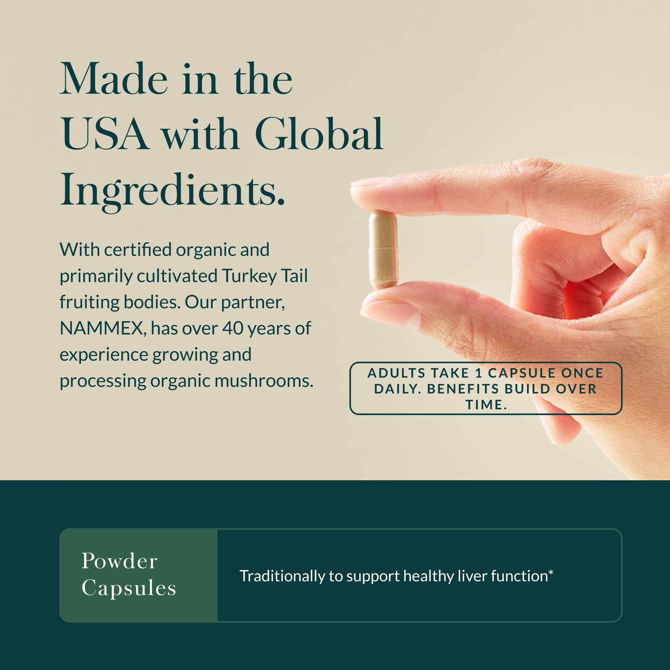 Gaia Herbs mushroom health formula
