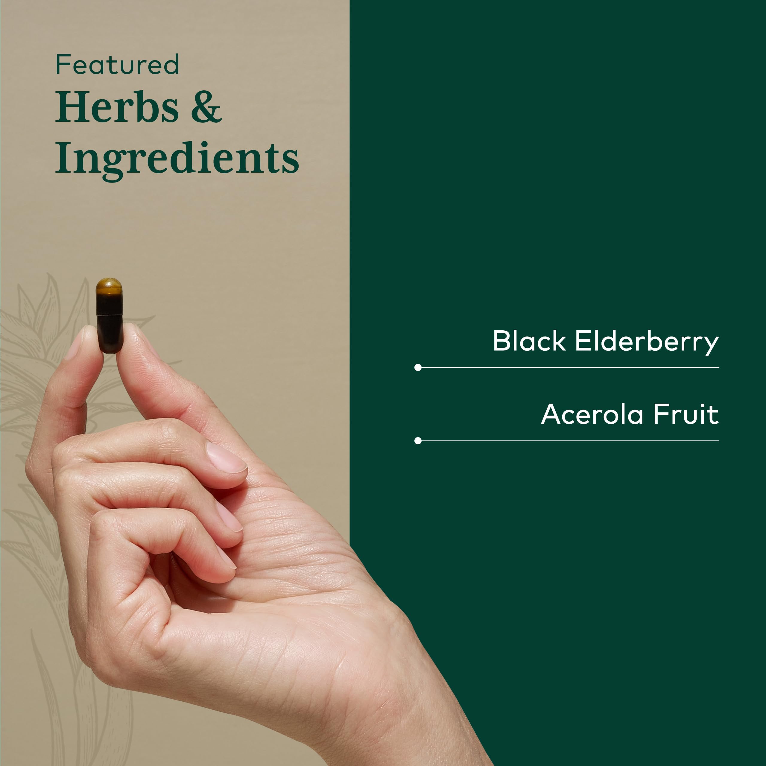 GAIA HERBS PRO immune support