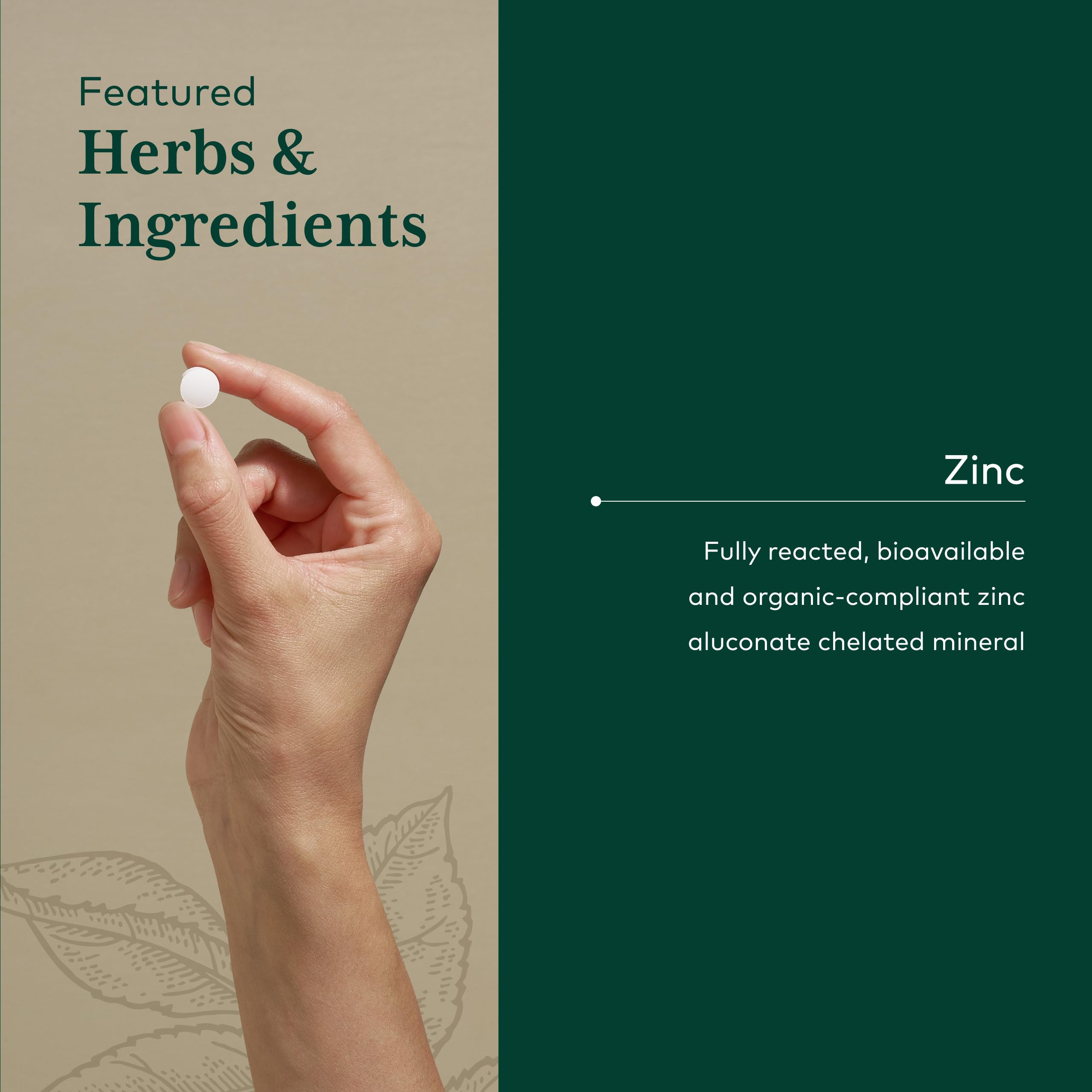 Gaia Herbs Pro zinc for vitality