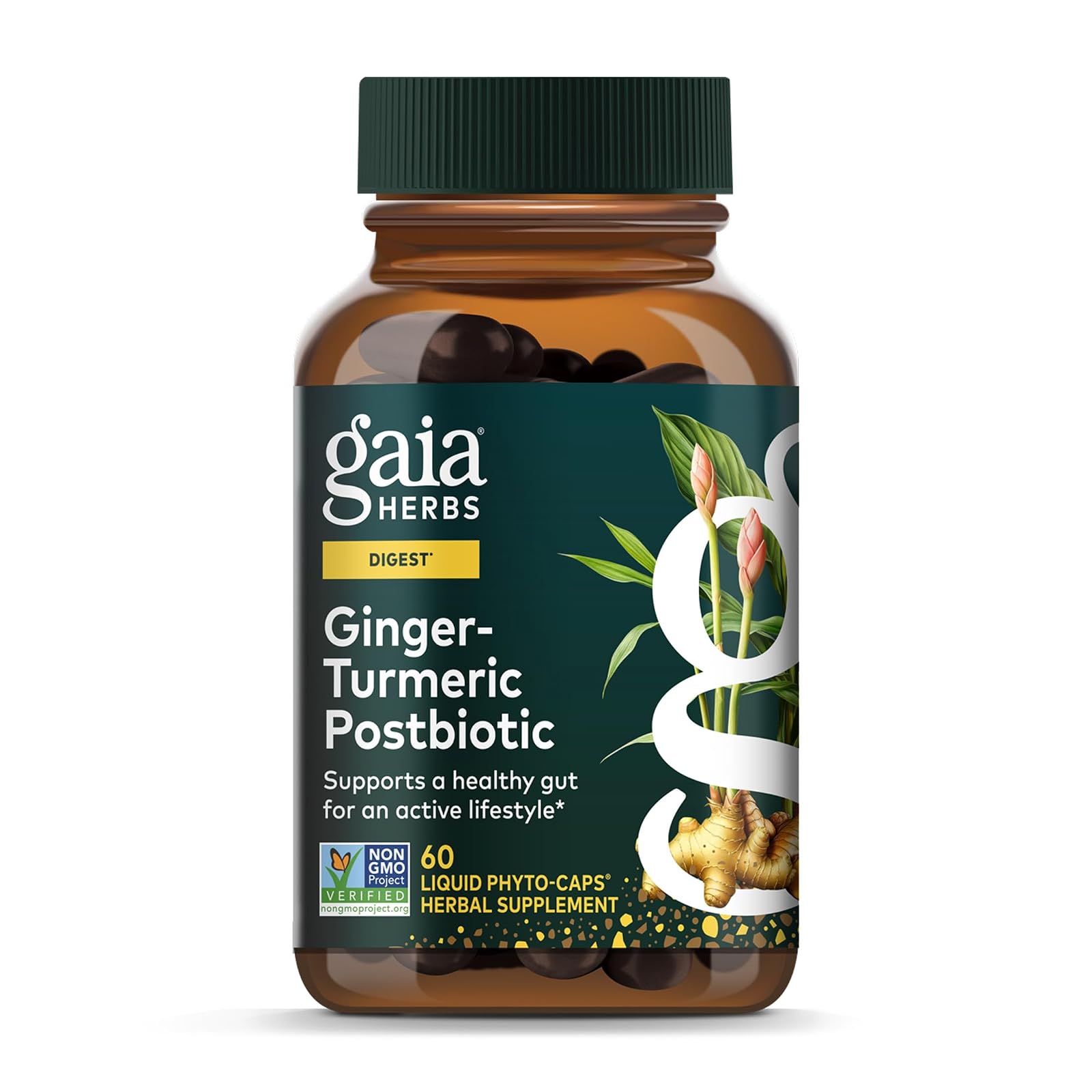 Gaia Herbs turmeric curcumin capsules